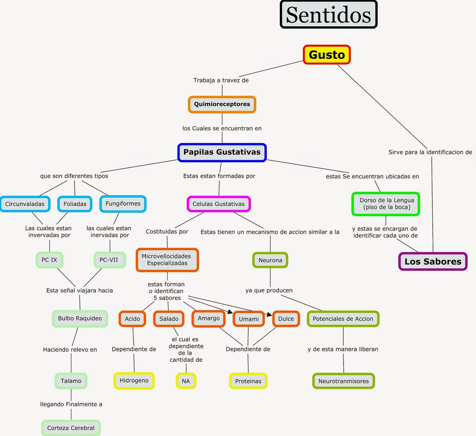 Blog de Fisiologia Medica de Miguel Angel Rivera Arce: Mapa conceptual ...