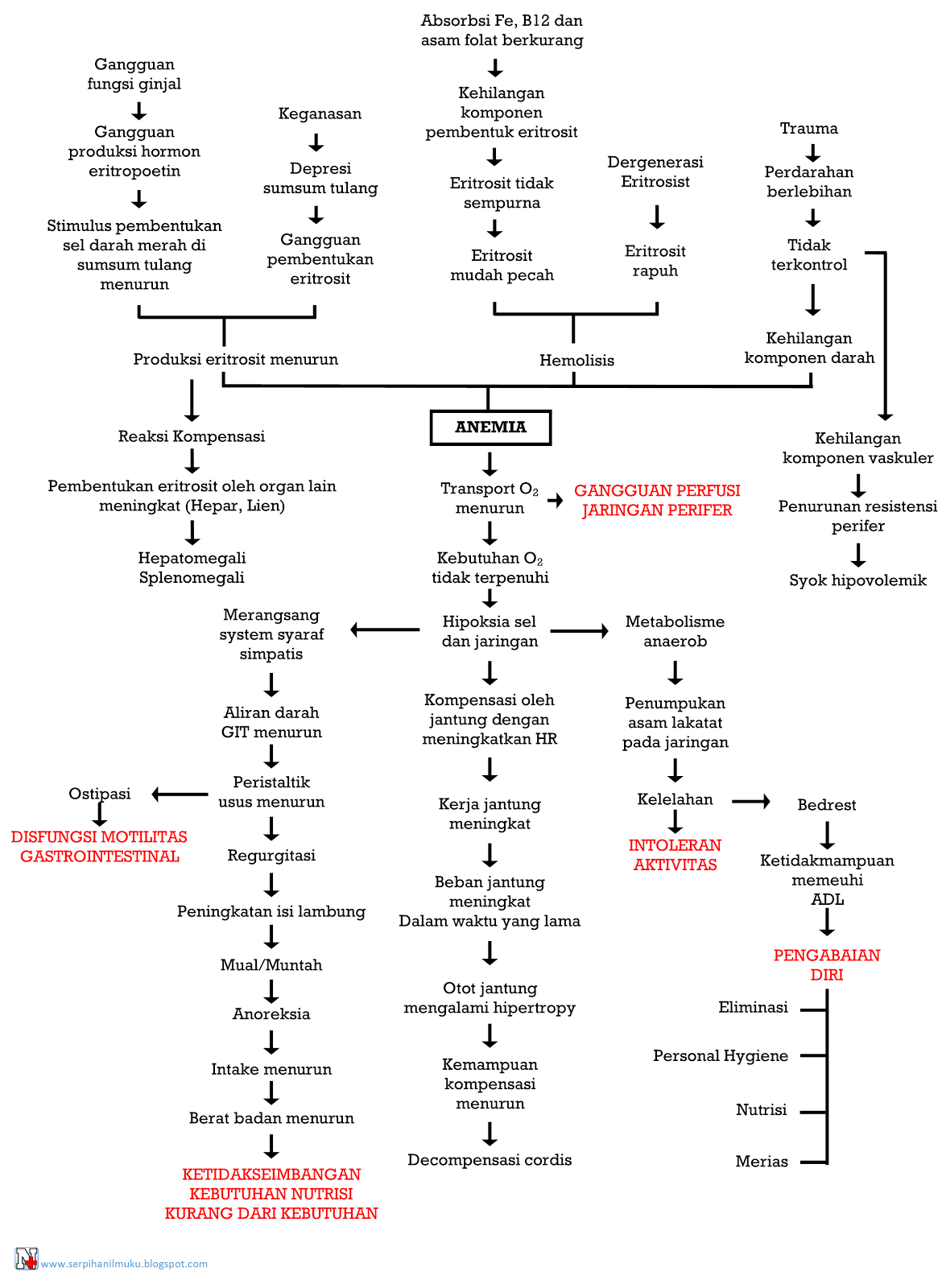 ASUHAN KEPERAWATAN (ASKEP) ANEMIA NANDA NIC NOC - PUTRA NUSANTARA
