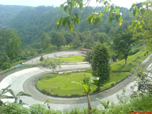 Meet the X-plorers: Bukidnon: Manolo Fortich: A Must to Do, See and Visit