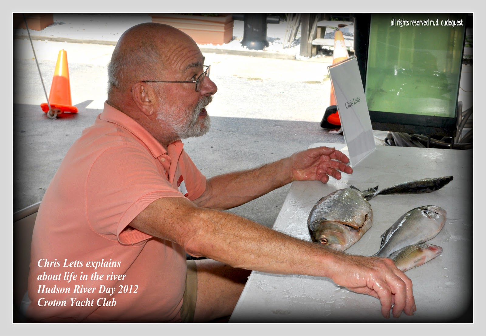 EverythingCroton: PHOTOS FROM RIVER DAY 2012: THE CROTON YACHT CLUB ...