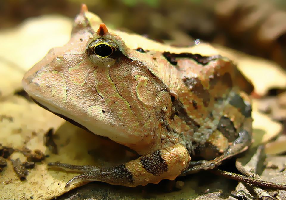 Natureza, Perfeição sem tamanho...