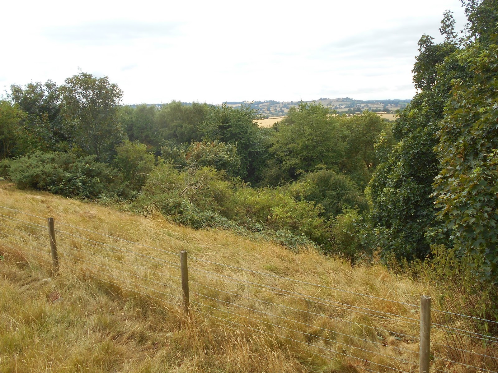 Tony's Blog: Newnham Hill