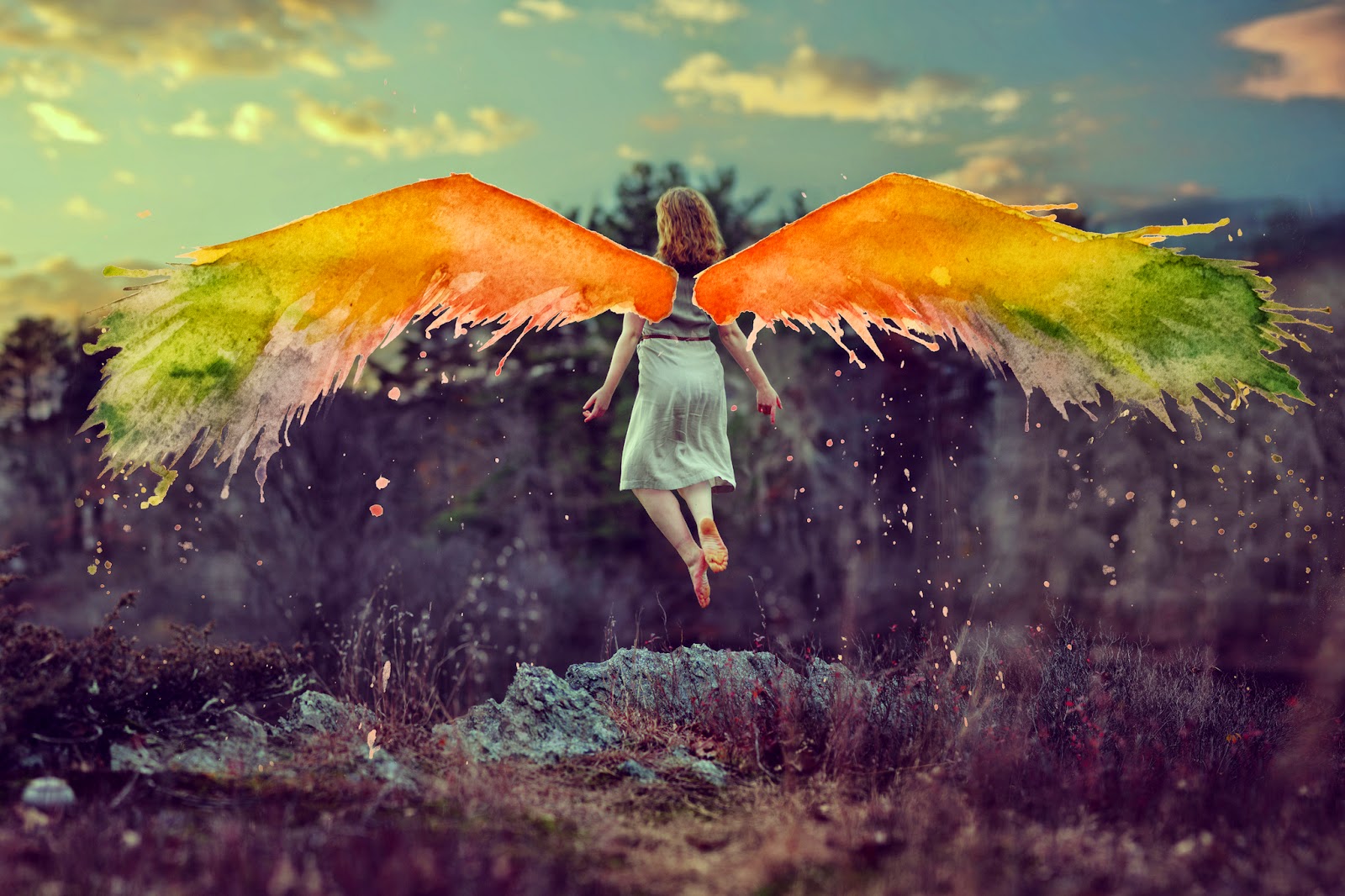 Pek Güzel Şeyler: Aliza Razell