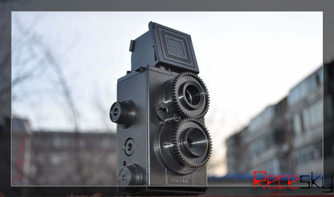 WLean Online Shopping: Recesky DIY 35mm TLR LOMO Camera