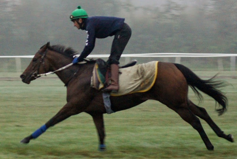 Julia Feilden Racing: Down about the Yarmouth undulations