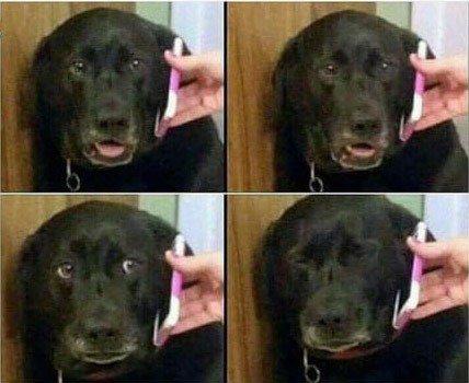 English Meme Templates