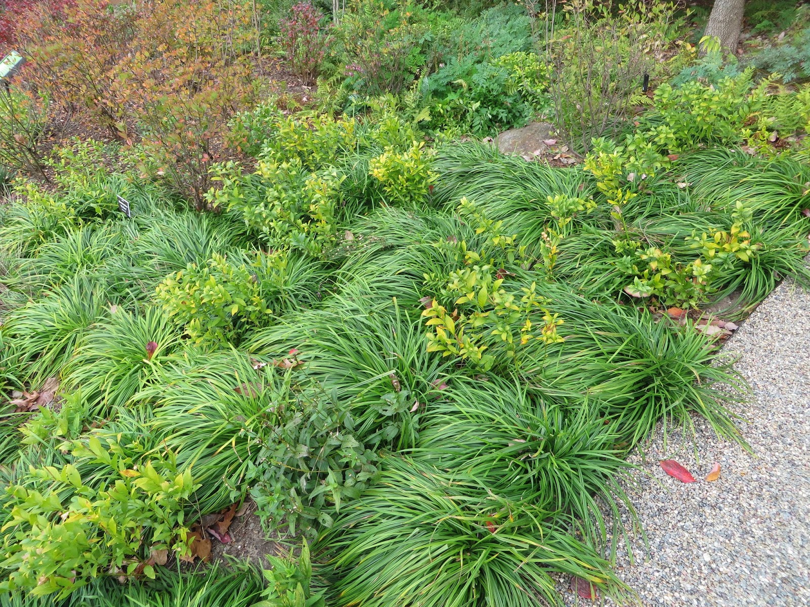 The Gardener's Eye: Clement Lecture informs New York Visit