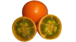 Especies Forestales: El cultivo de LULO