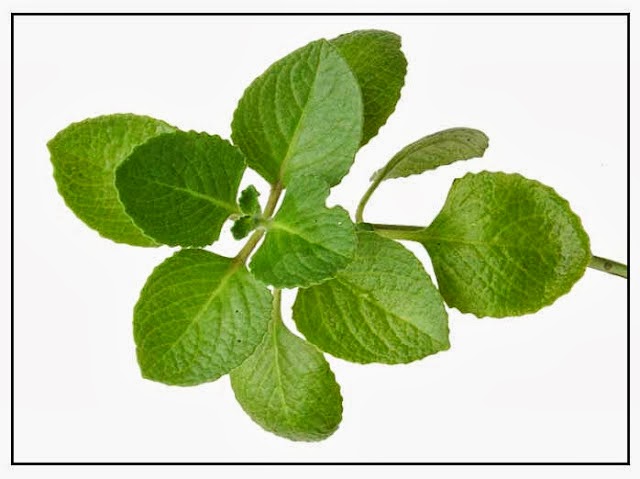 Apabila Lensa ZulDeanz Berbicara: Air Lemuju