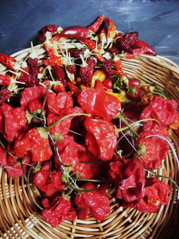 szeretetrehangoltan: Chili, mint pehely