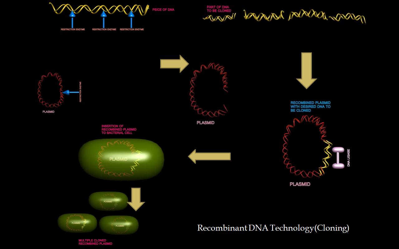 Manash (Subhaditya Edusoft): RECOMBINANT DNA TECHNOLOGY (CLONING):