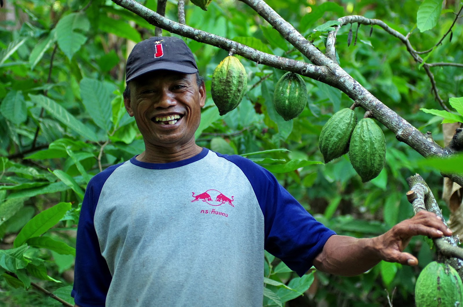 SATKER PENGELOLA HIBAH MCC BAPPENAS: Semakin Banyak Senyum dari Petani ...
