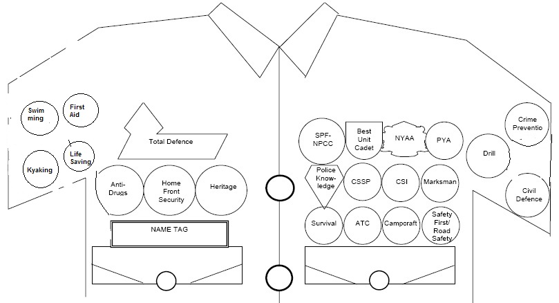 East View NPCC: Badges and Ranks