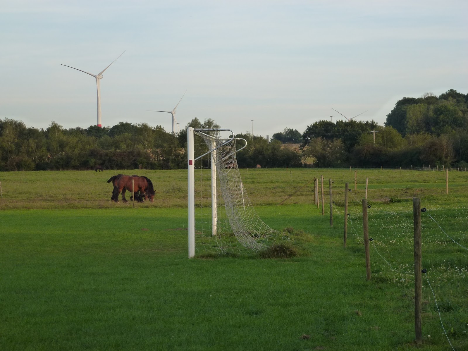 Extreme Football Tourism: BELGIUM: RFC Warnant