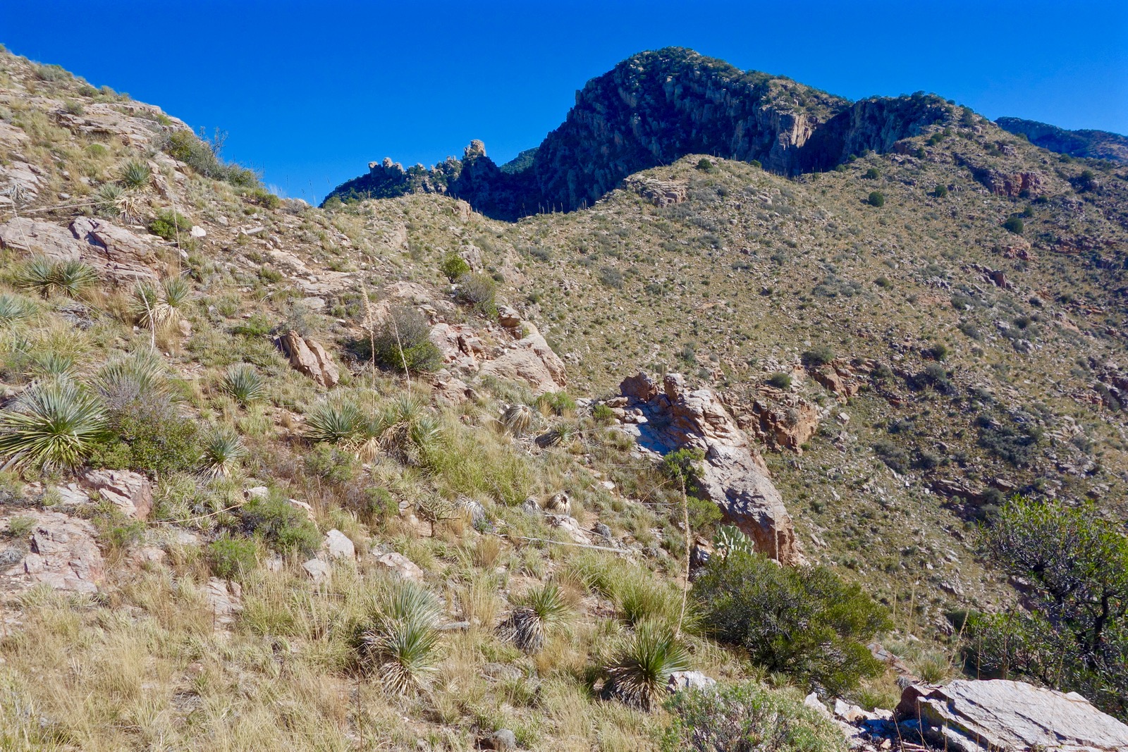 Earthline: The American West: Prominent Point West, 6,628', Pusch Ridge ...
