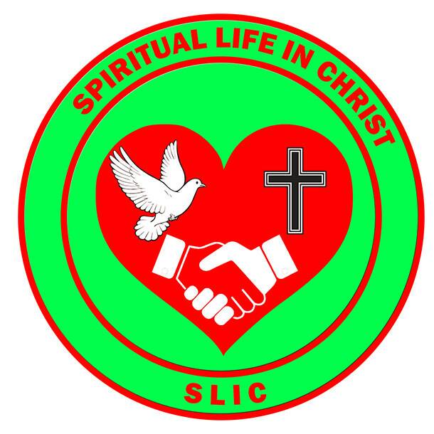 SLIC Organization: Vision and Mission