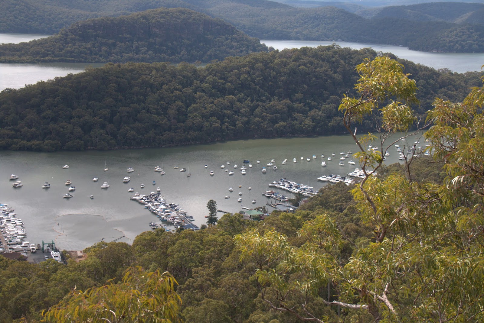 its just my life: Cowan to Brooklyn via Jerusalem Bay