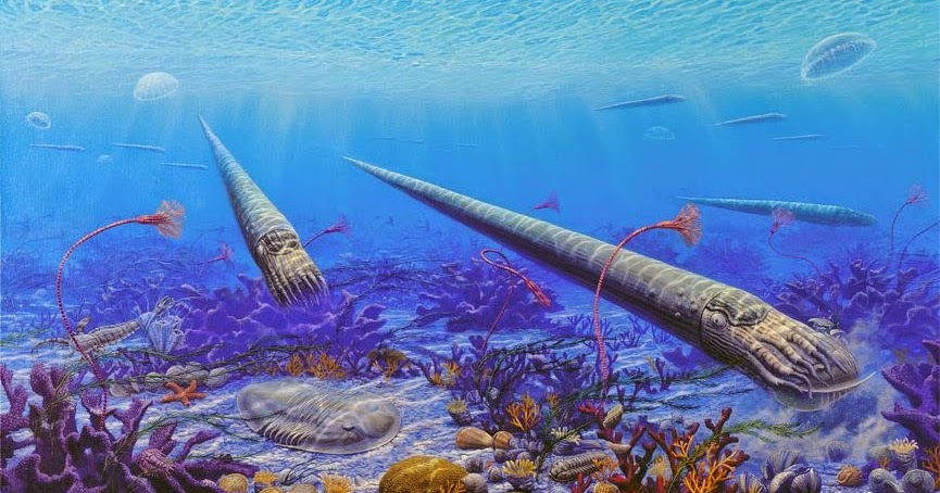 Mundo Pré-Histórico: Período Ordoviciano