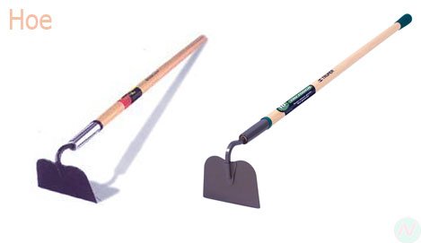 Garden Tools/Implements Name & Images | Necessary Vocabulary ...