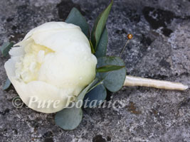Wedding Decoration Ideas: Peony Buttonhole