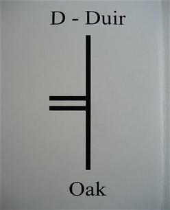 Witchcraft Diaries: The Oak - Duir