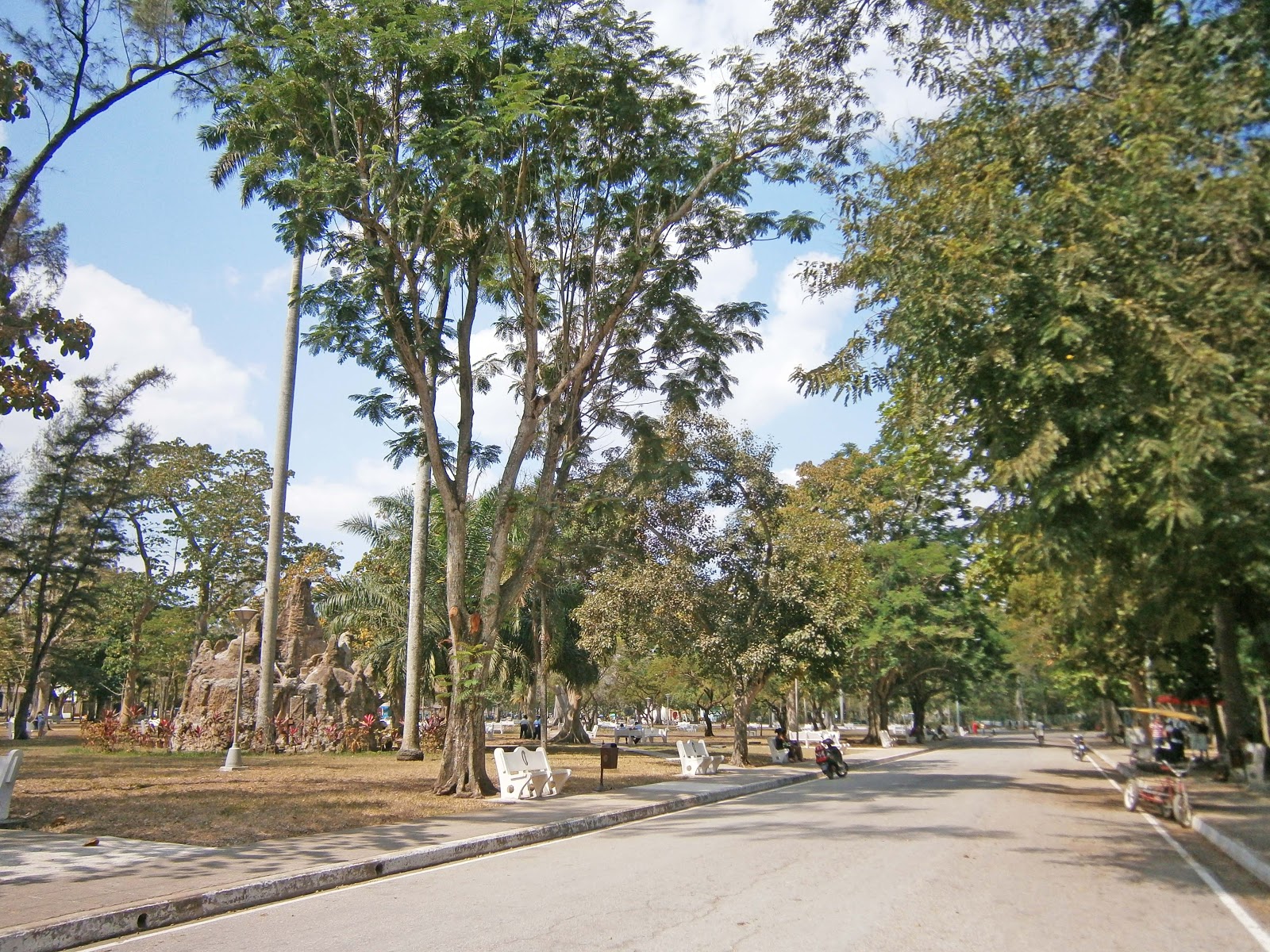Nuestros Senderos/ Our Trails: Nuestro parque urbano, el mayor de Cuba