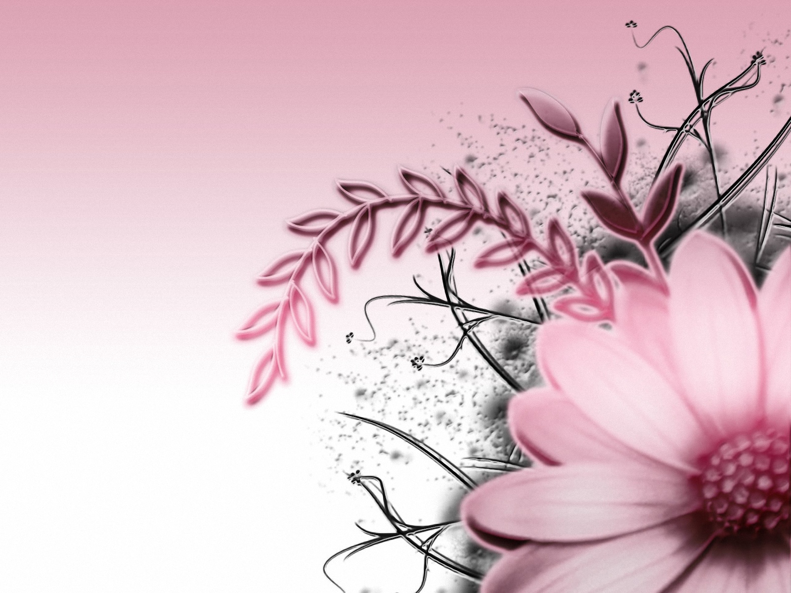 wallpapernarium: Linda flor rosada