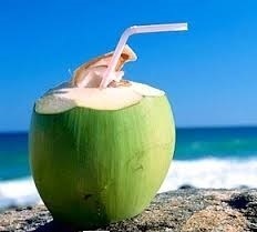 cabin talk: COCO FRIO