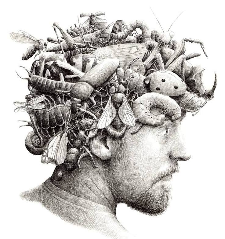 Redmer Hoekstra 1982