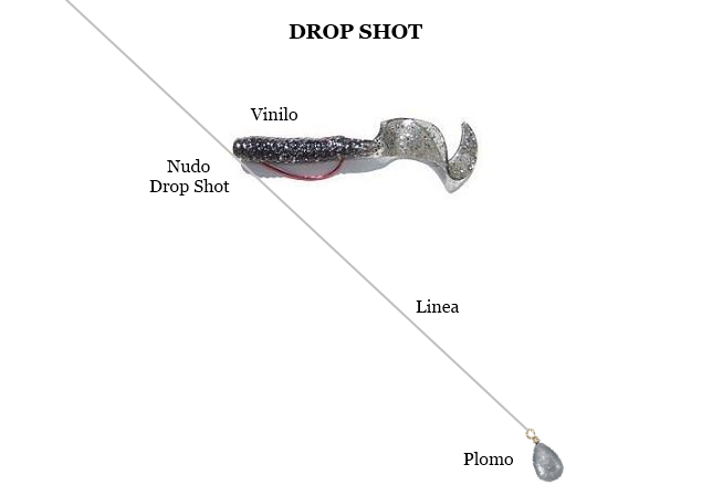 Vinilo y Sedal: La técnica DROP SHOT
