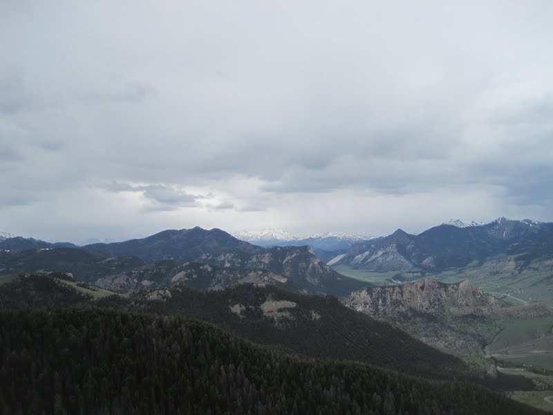 The Scallywagon: YOU SKIN GRIZ', PILGRIM? Yellowstone National Park