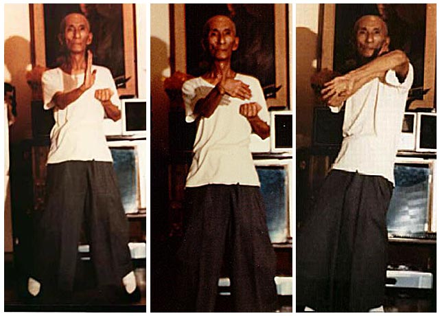 WING CHUN TRADICIONAL SAMUEL KWOK LINEAGE: Wing Chun, Wing Tsun ou Ving ...