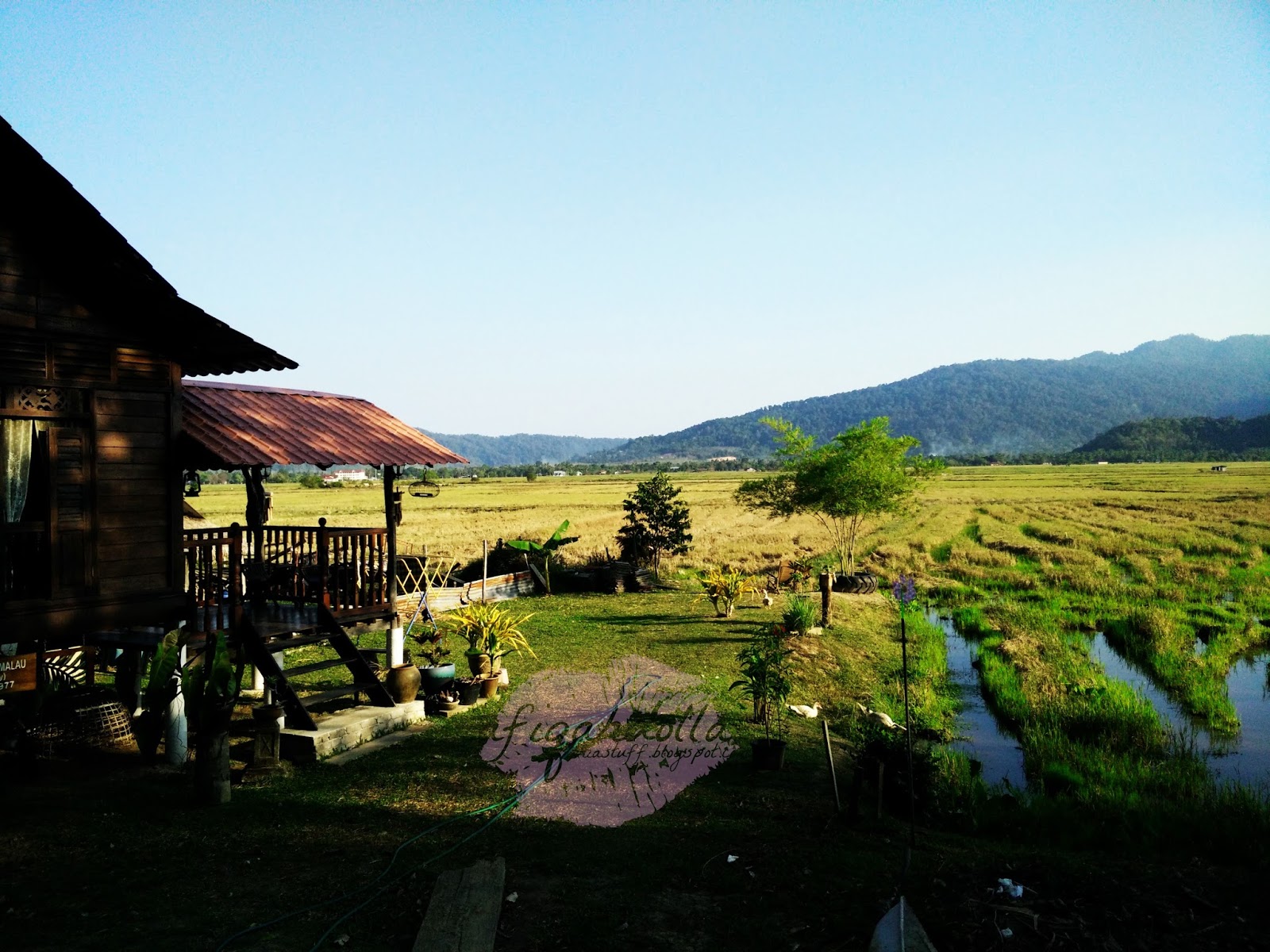 NDZRHAFQH: Nasi Dagang Pak Malau, Langkawi | Entry Bergambar