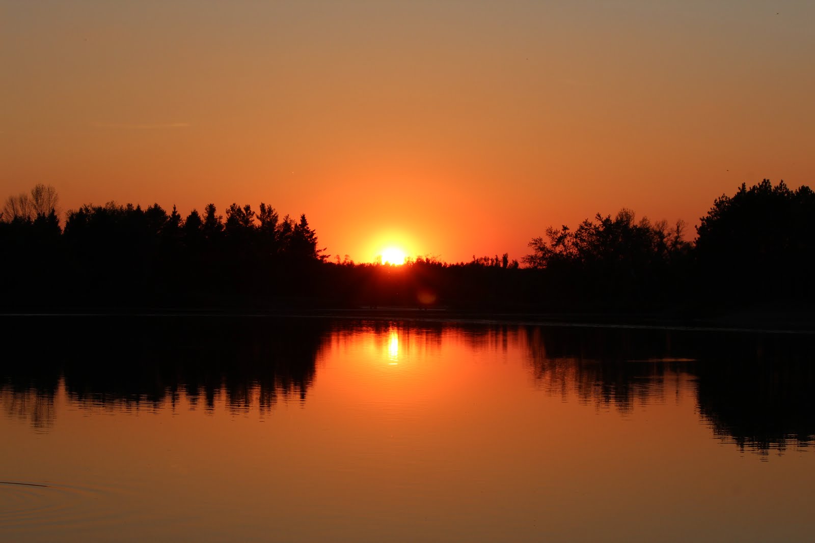 Projeto 6 on 6 no Canada - Fotos de outono - Minha Neve e Cia