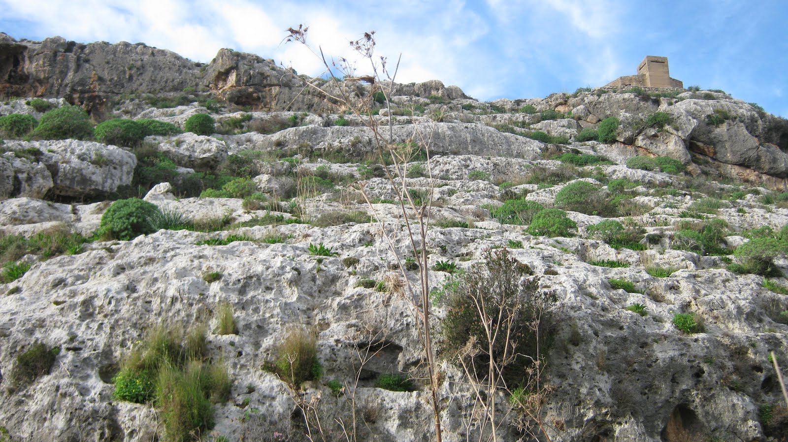 Alex Cassar: Arch1101