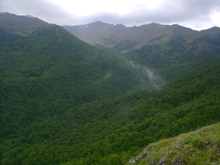 RRAJCA JONE: Bukurite natyrore