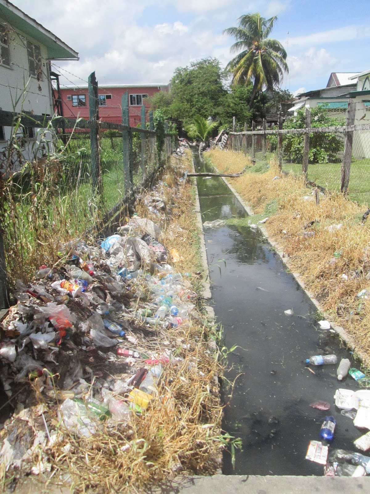 Guyana's Garbage Problem