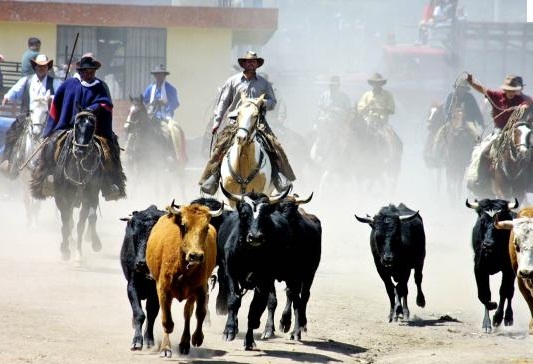 Turismo y aventura en Machachi