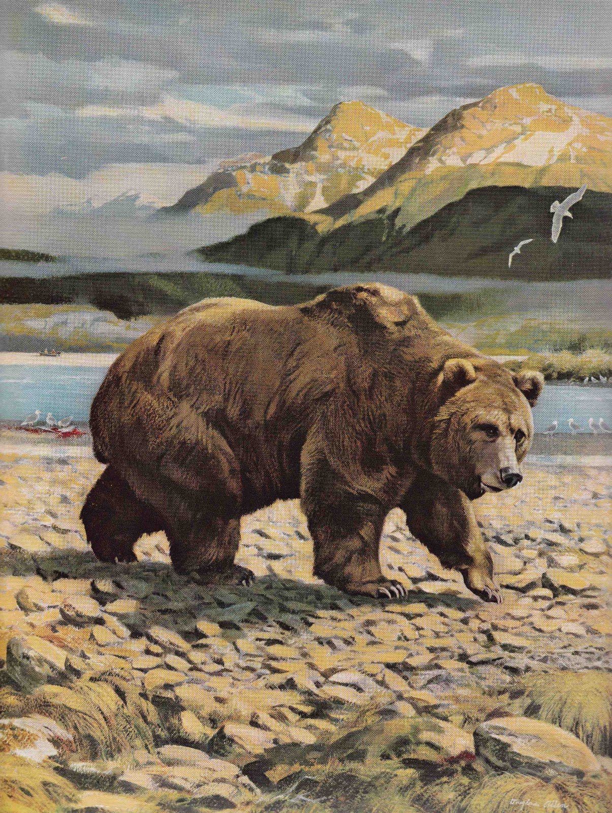 Into The Wild: Douglas Allen Part Two