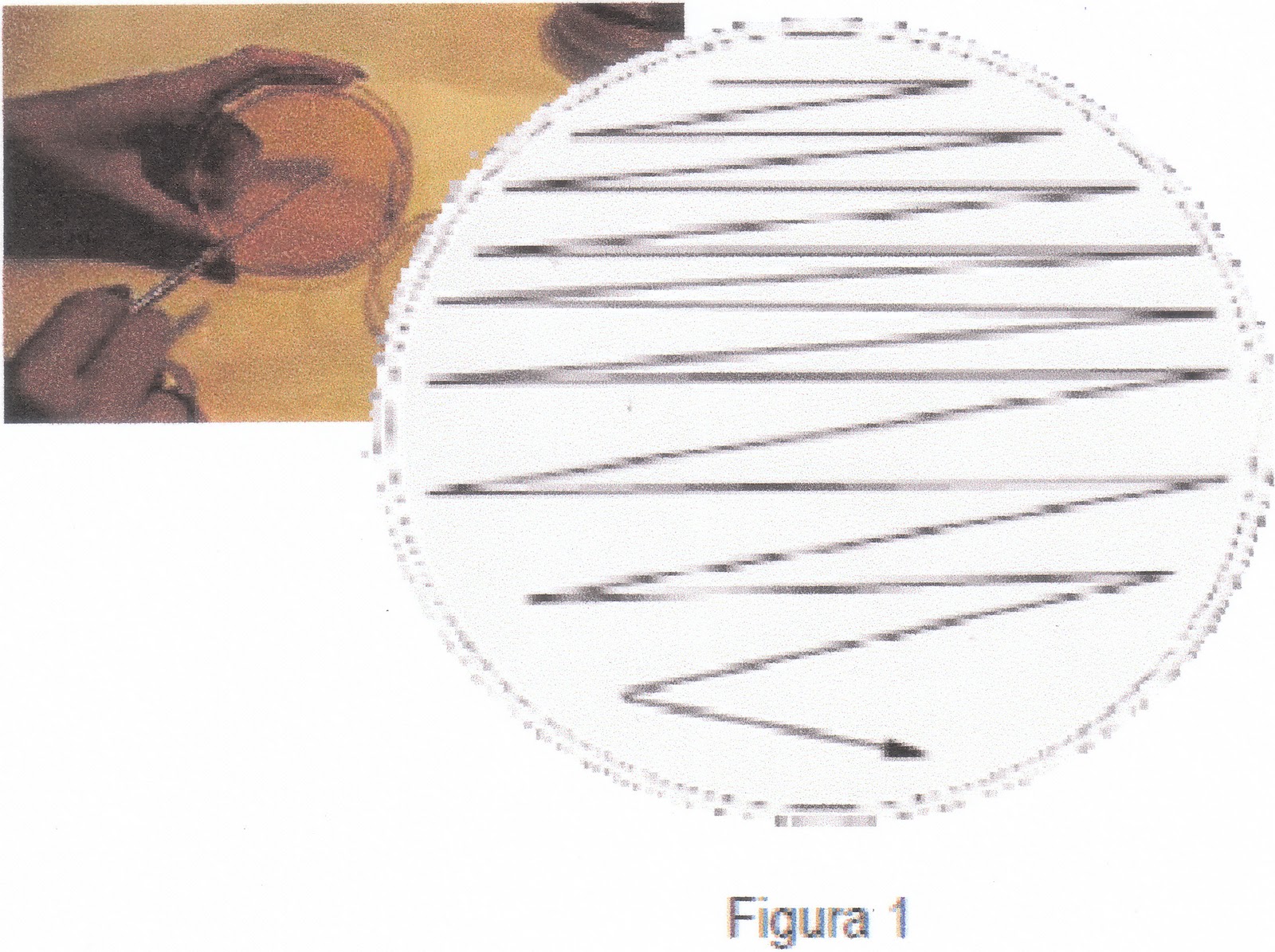 Enseñanza de la microbiología: Elaboración de un antibiograma
