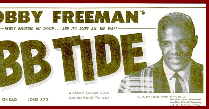 SIXTIES BEAT: Bobby Freeman