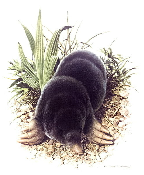 The Great Dungeon of the North: June 2017