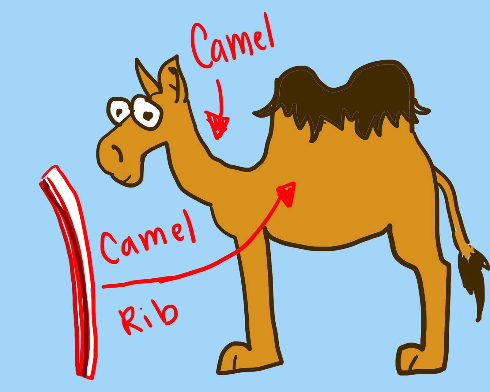 Life on the Compound