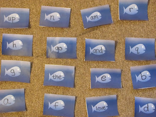 Life In The Unknown: Shark ABC Attack