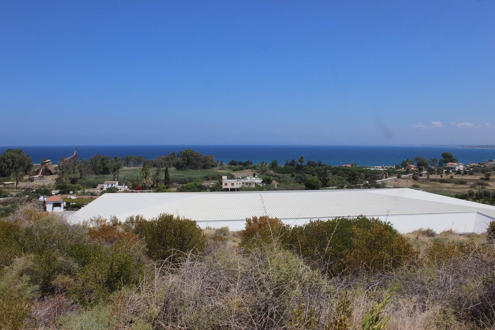 Biodiversity of Cyprus by NGO Protection of the Natural Heritage and ...