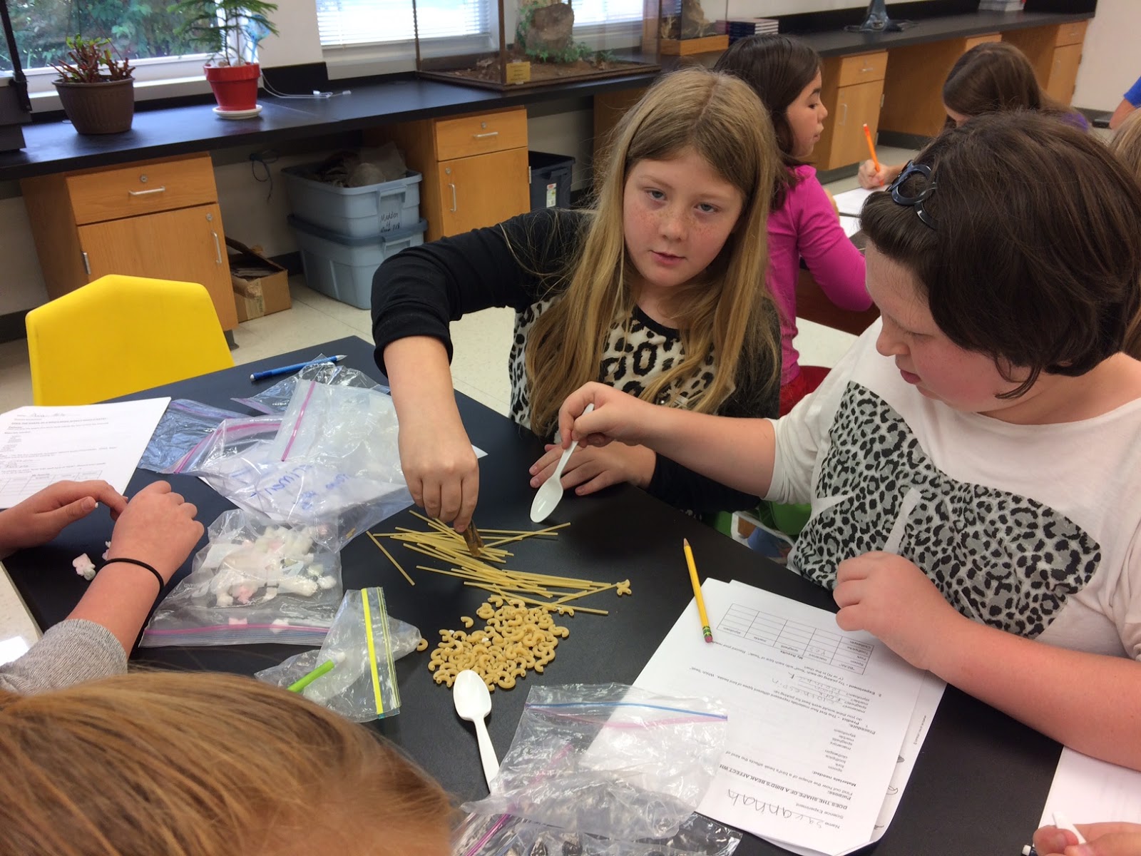 Mrs. Ziegler's 4th Grade: In the science lab...