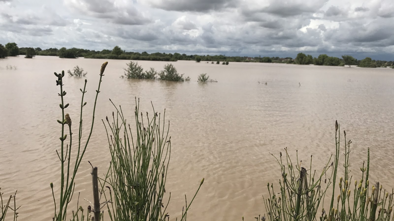 Reque City - Tierra del tamal : Desborde del río Reque 2017