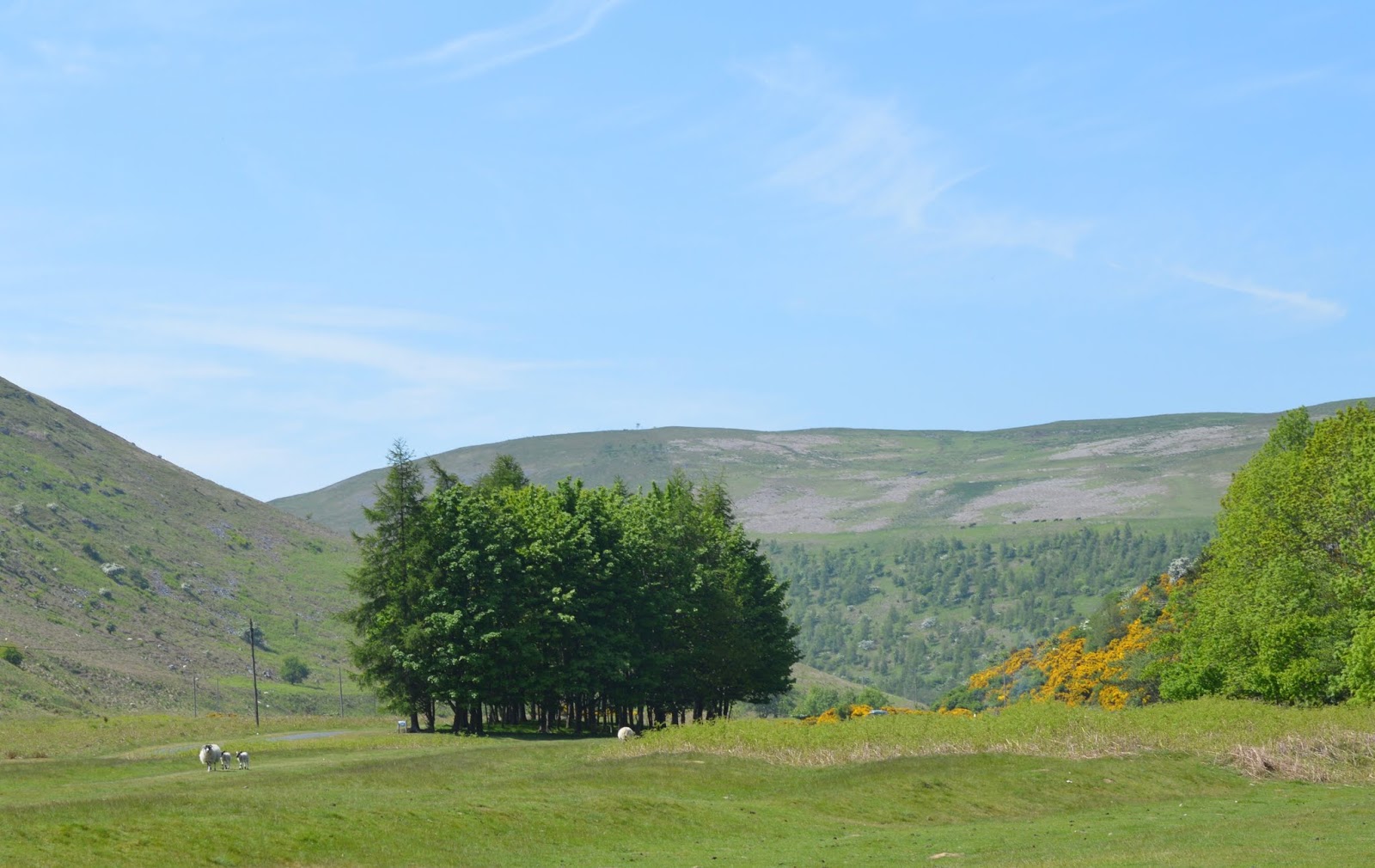 A Picnic at Ingram Valley, Northumberland National Park | North East ...