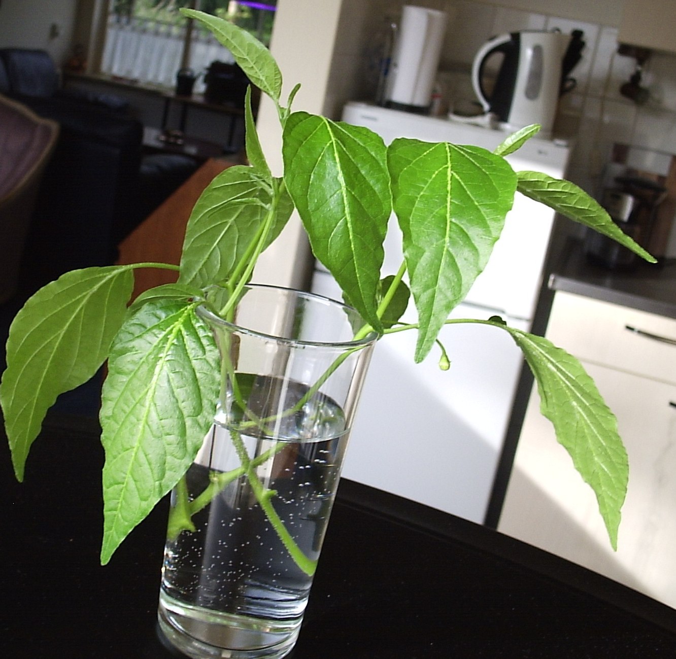 Heet, heter, heetst!: Stekken