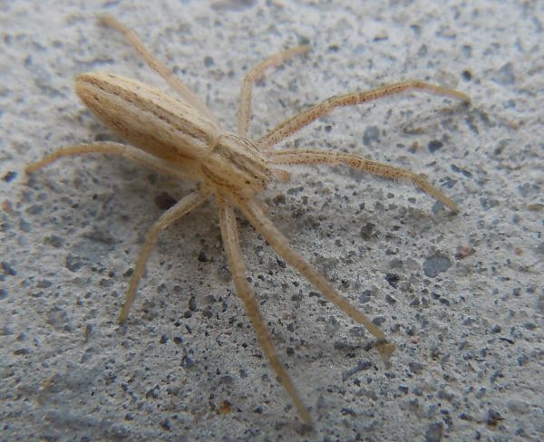 artbystacis melting pot: Photo Tour